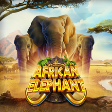 Play Great Rhino Megaways Online at Midnite Casino - Midnite