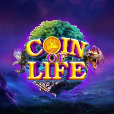 Sports Betting, Casino Games, & Live Dealer - Midnite