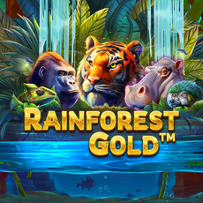 Play Rainforest Gold Online at Midnite Casino - Calupoh