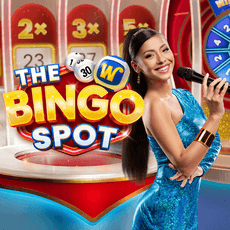 Play The Bingo Spot Online at Midnite Casino - Midnite