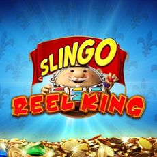 Sports Betting, Casino Games, & Live Dealer - Midnite