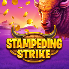 Sports Betting, Casino Games, & Live Dealer - Midnite