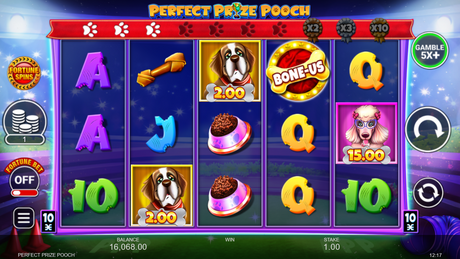Play Perfect Prize Pooch Online at Midnite Casino - Midnite