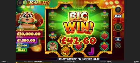 Play Lucha Kitty Online at Midnite Casino - Midnite